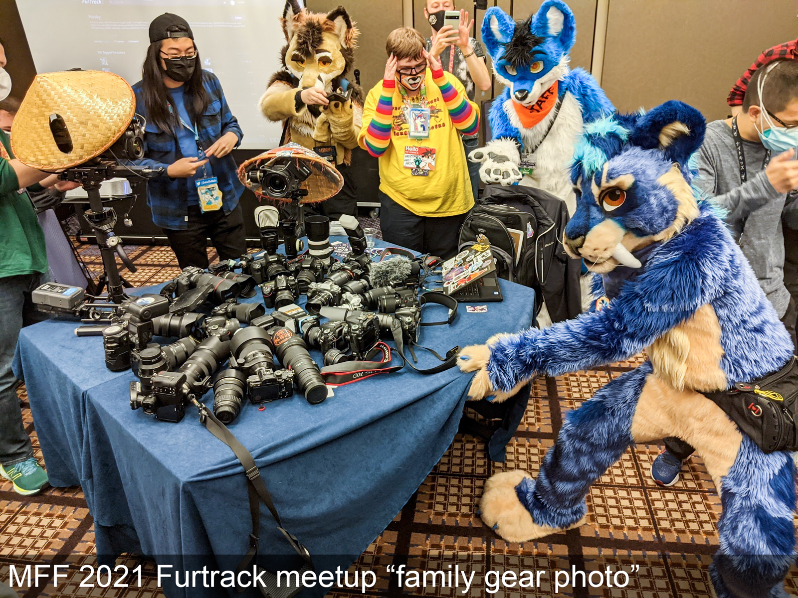 Welcome to Furtrack! Fursuit photo sharing, tagging & discovery